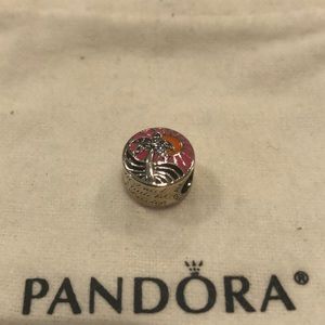 Jewelry | Pandora Charm | Poshmark